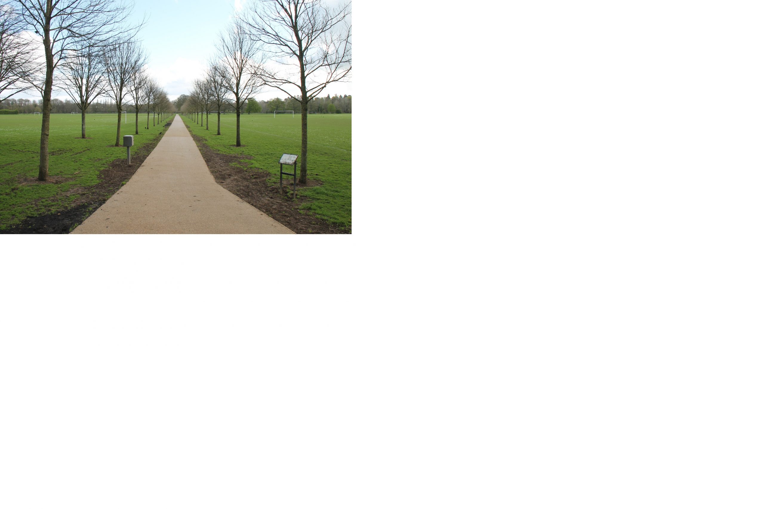 Pontcanna Fields - 1 - Leeson Polyurethanes